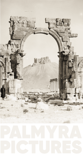 Palmyra Pictures